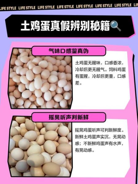 土鸡蛋和饲料鸡蛋的区别_如何辨别真假土鸡蛋-第3张图片-山城妙识 土鸡蛋和饲料鸡蛋的区别_如何辨别真假土鸡蛋-第3张图片-山城妙识