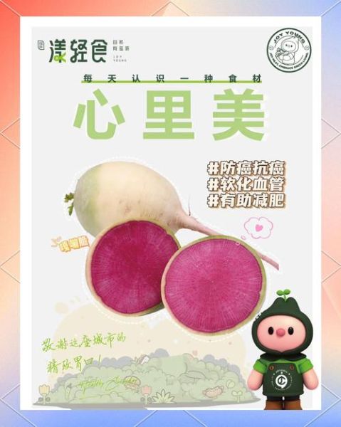 心里美萝卜学名是什么_心里美萝卜营养价值-第1张图片-山城妙识 心里美萝卜学名是什么_心里美萝卜营养价值-第1张图片-山城妙识
