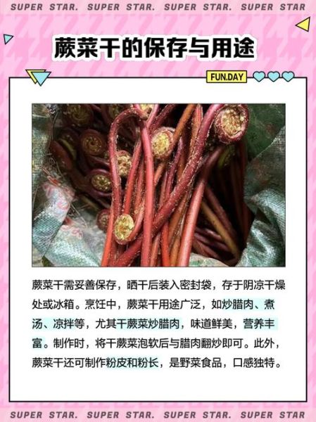蕨菜干多少钱一斤_蕨菜干价格受哪些因素影响-第1张图片-山城妙识