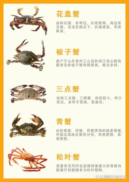 十大淡水蟹有哪些_淡水蟹品种大全-第1张图片-山城妙识 十大淡水蟹有哪些_淡水蟹品种大全-第1张图片-山城妙识