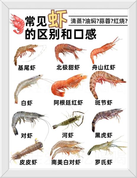 淡水虾养殖品种有哪些_新手选哪个好-第2张图片-山城妙识