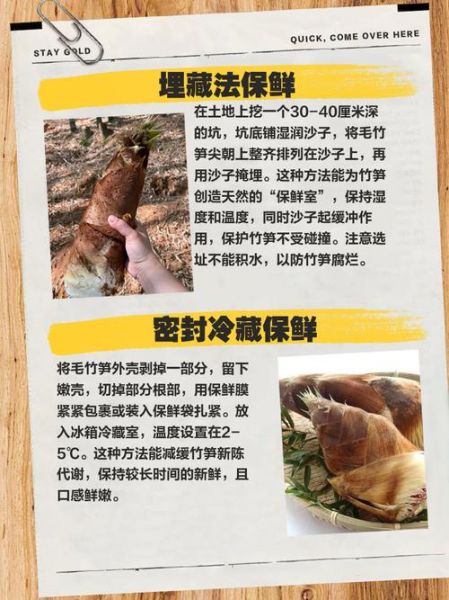 毛竹笋的功效与作用_毛竹笋怎么吃最营养-第2张图片-山城妙识 毛竹笋的功效与作用_毛竹笋怎么吃最营养-第2张图片-山城妙识