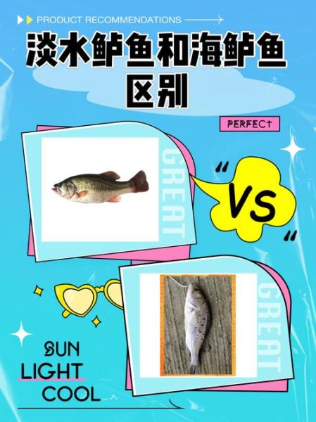 鲈鱼图片大全大图高清_如何分辨淡水鲈鱼与海鲈鱼-第1张图片-山城妙识 鲈鱼图片大全大图高清_如何分辨淡水鲈鱼与海鲈鱼-第1张图片-山城妙识