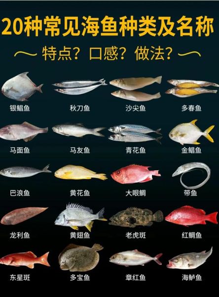 海鱼种类大全_如何快速识别常见海鱼-第2张图片-山城妙识 海鱼种类大全_如何快速识别常见海鱼-第2张图片-山城妙识