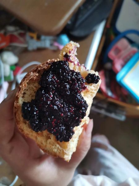 桑葚酱怎么吃最好_桑葚酱的吃法大全-第1张图片-山城妙识