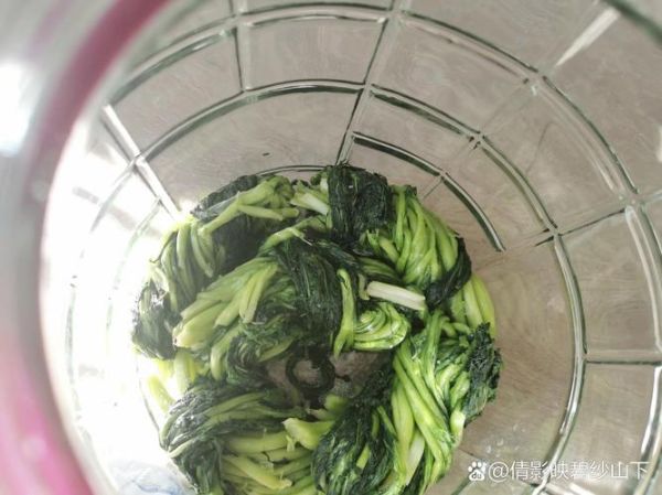 雪里蕻怎么腌制晒干_雪里蕻腌制晒干方法-第1张图片-山城妙识