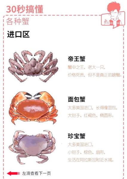 海螃蟹种类及名称图片大全_如何快速区分常见海蟹-第2张图片-山城妙识 海螃蟹种类及名称图片大全_如何快速区分常见海蟹-第2张图片-山城妙识