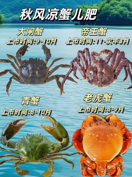 海螃蟹种类及名称图片大全_如何快速区分常见海蟹-第3张图片-山城妙识 海螃蟹种类及名称图片大全_如何快速区分常见海蟹-第3张图片-山城妙识