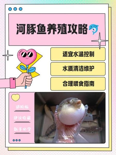 河豚哪里有毒_怎么提取-第2张图片-山城妙识