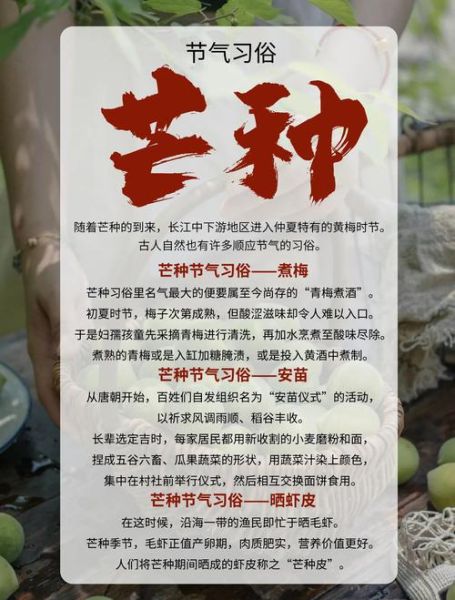 芒种吃什么传统食物_芒种节气必吃美食图片-第1张图片-山城妙识