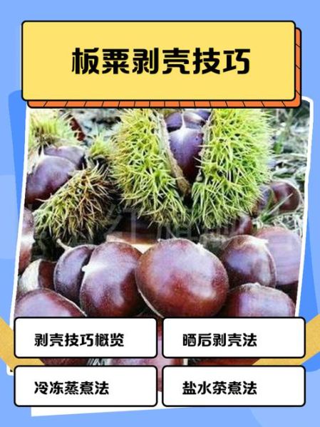 栗子怎么快速剥壳_栗子剥壳不碎的方法-第2张图片-山城妙识