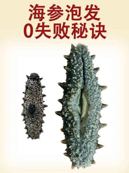 干海参怎么泡发_干海参的正确方法-第2张图片-山城妙识 干海参怎么泡发_干海参的正确方法-第2张图片-山城妙识