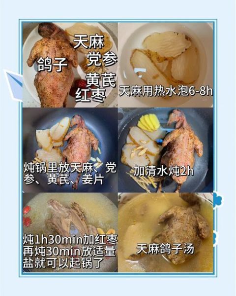 天麻炖鸽子的做法_天麻炖鸽子有什么功效-第1张图片-山城妙识