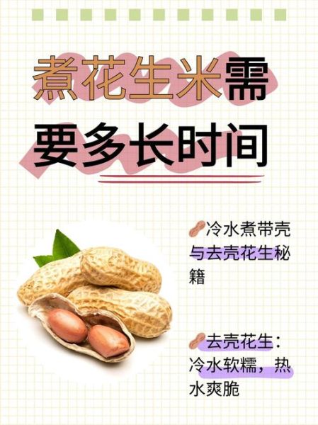 花生煮多久能熟_水煮花生多长时间才入味-第1张图片-山城妙识 花生煮多久能熟_水煮花生多长时间才入味-第1张图片-山城妙识
