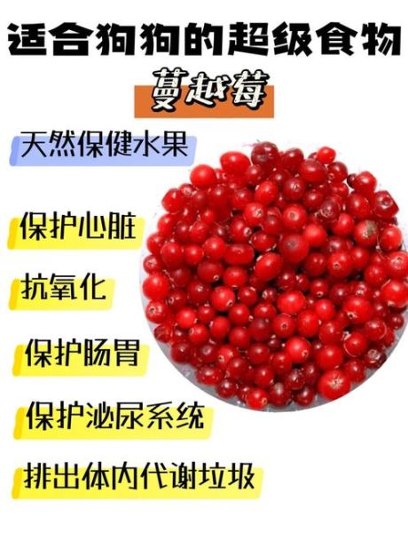 蔓越莓的功效与副作用是什么_女性长期吃安全吗-第1张图片-山城妙识 蔓越莓的功效与副作用是什么_女性长期吃安全吗-第1张图片-山城妙识