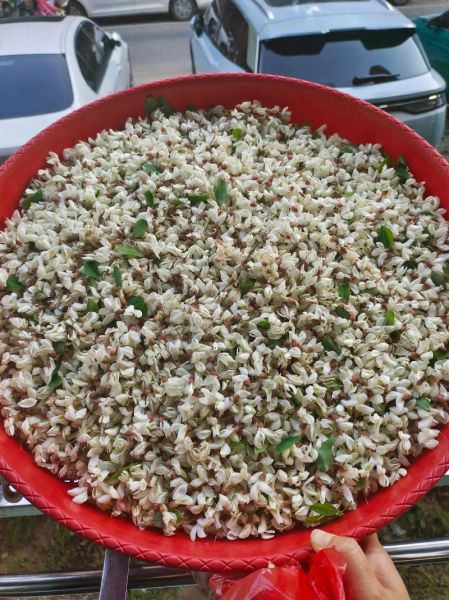 煎槐花怎么做_槐花煎蛋的做法步骤-第1张图片-山城妙识 煎槐花怎么做_槐花煎蛋的做法步骤-第1张图片-山城妙识