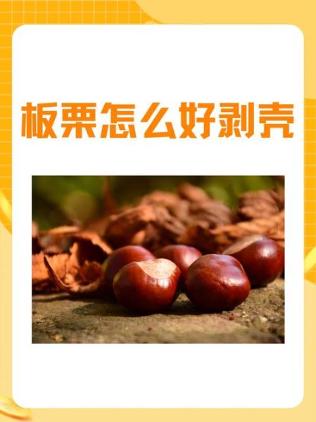 栗怎么读拼音_栗子读音与方言差异-第3张图片-山城妙识 栗怎么读拼音_栗子读音与方言差异-第3张图片-山城妙识