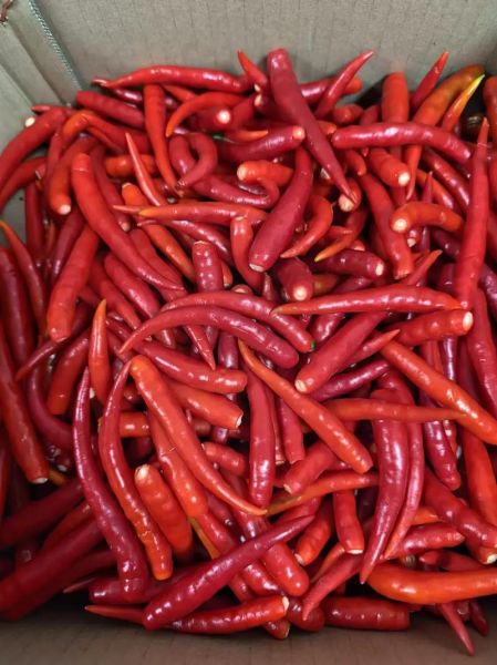 家常辣椒酱怎么做_辣椒酱不放防腐剂能放多久-第2张图片-山城妙识 家常辣椒酱怎么做_辣椒酱不放防腐剂能放多久-第2张图片-山城妙识