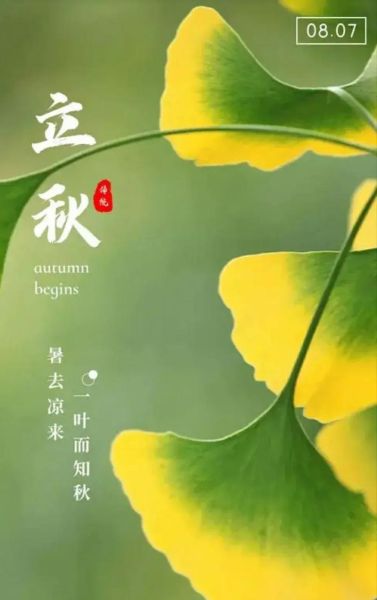 立秋图片大全高清_如何挑选适合做壁纸的立秋图-第1张图片-山城妙识