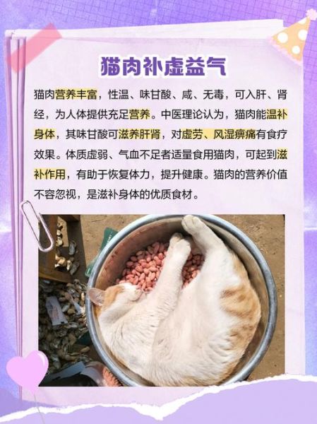 煮猫肉放什么配料好吃_猫肉去腥增香技巧-第3张图片-山城妙识 煮猫肉放什么配料好吃_猫肉去腥增香技巧-第3张图片-山城妙识
