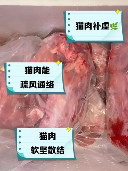 煮猫肉放什么配料好吃_猫肉去腥增香技巧-第1张图片-山城妙识 煮猫肉放什么配料好吃_猫肉去腥增香技巧-第1张图片-山城妙识