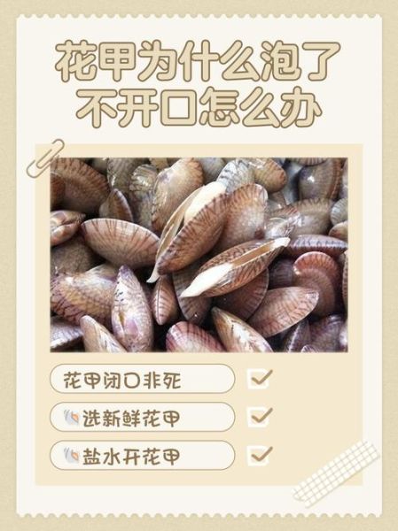 花甲不张口怎么办_盐水泡多久才有效-第1张图片-山城妙识 花甲不张口怎么办_盐水泡多久才有效-第1张图片-山城妙识