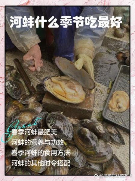 河蚌煮汤怎么做好吃_河蚌汤去腥技巧-第3张图片-山城妙识 河蚌煮汤怎么做好吃_河蚌汤去腥技巧-第3张图片-山城妙识