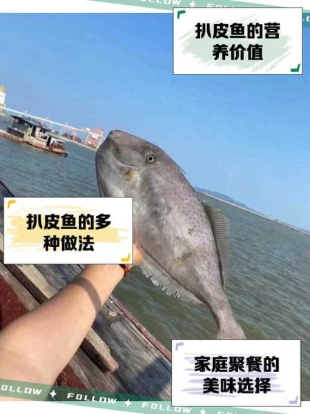 扒皮鱼怎么做好吃_扒皮鱼的做法视频教程-第3张图片-山城妙识 扒皮鱼怎么做好吃_扒皮鱼的做法视频教程-第3张图片-山城妙识