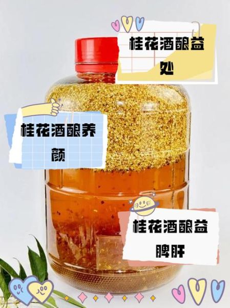 桂花酒酿的功效与作用_女人喝桂花酒酿有哪些好处-第1张图片-山城妙识 桂花酒酿的功效与作用_女人喝桂花酒酿有哪些好处-第1张图片-山城妙识