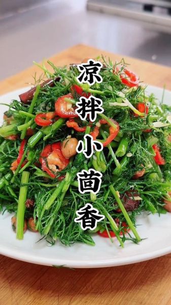 凉拌茴香菜怎么做_茴香菜要不要焯水-第1张图片-山城妙识 凉拌茴香菜怎么做_茴香菜要不要焯水-第1张图片-山城妙识