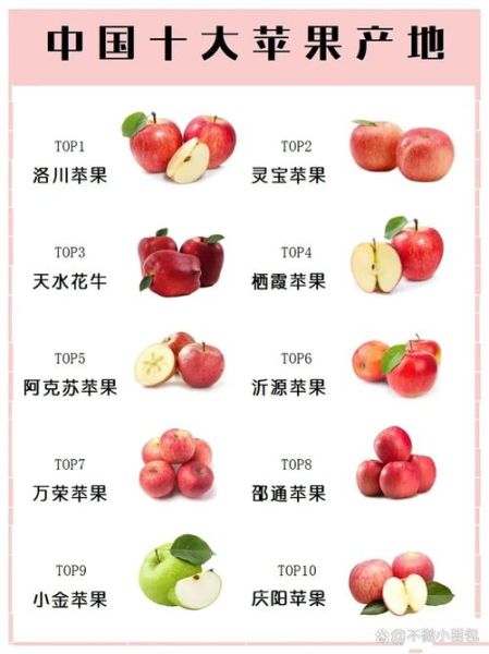 中国十大苹果好吃排名_哪里的苹果最甜最好吃-第2张图片-山城妙识 中国十大苹果好吃排名_哪里的苹果最甜最好吃-第2张图片-山城妙识