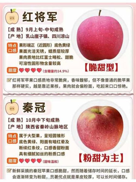 中国十大苹果好吃排名_哪里的苹果最甜最好吃-第3张图片-山城妙识 中国十大苹果好吃排名_哪里的苹果最甜最好吃-第3张图片-山城妙识