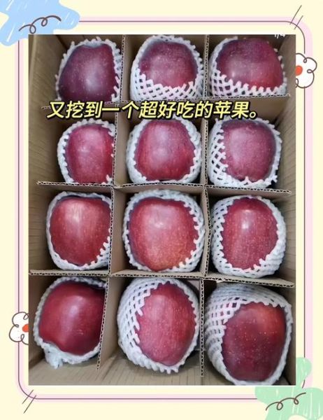 中国十大苹果好吃排名_哪里的苹果最甜最好吃-第1张图片-山城妙识 中国十大苹果好吃排名_哪里的苹果最甜最好吃-第1张图片-山城妙识