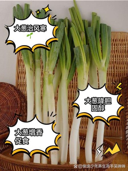生吃大葱壮阳吗_大葱壮阳是真的吗-第1张图片-山城妙识