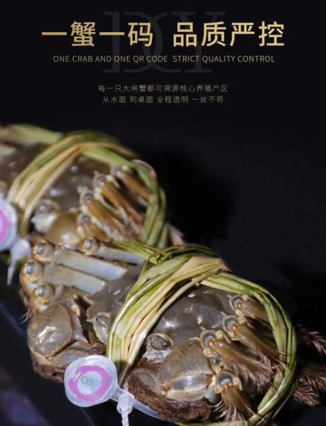 阳澄湖大闸蟹哪个品牌好_正宗阳澄湖大闸蟹十大品牌推荐-第1张图片-山城妙识 阳澄湖大闸蟹哪个品牌好_正宗阳澄湖大闸蟹十大品牌推荐-第1张图片-山城妙识