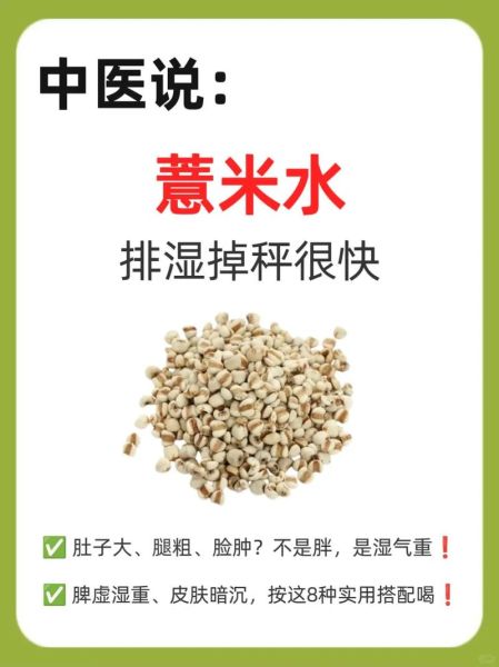 喝薏米水能减肥吗_薏米水一个月瘦多少斤-第2张图片-山城妙识