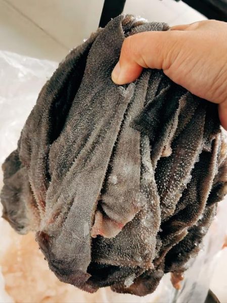 毛肚多少钱一斤_毛肚价格受哪些因素影响-第2张图片-山城妙识 毛肚多少钱一斤_毛肚价格受哪些因素影响-第2张图片-山城妙识