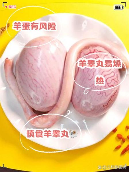 烤羊蛋的功效与作用_男人吃羊蛋真的壮阳吗-第3张图片-山城妙识 烤羊蛋的功效与作用_男人吃羊蛋真的壮阳吗-第3张图片-山城妙识