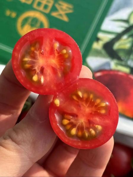 圣女果是转基因的吗_圣女果和千禧果区别-第3张图片-山城妙识 圣女果是转基因的吗_圣女果和千禧果区别-第3张图片-山城妙识