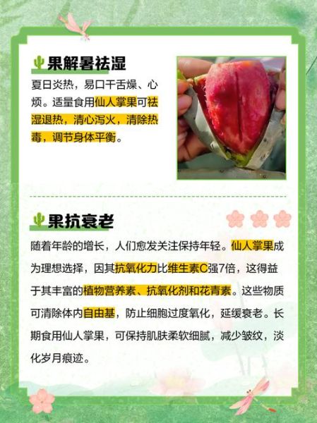 仙人掌果的籽能吃吗_仙人掌果籽怎么吃-第1张图片-山城妙识