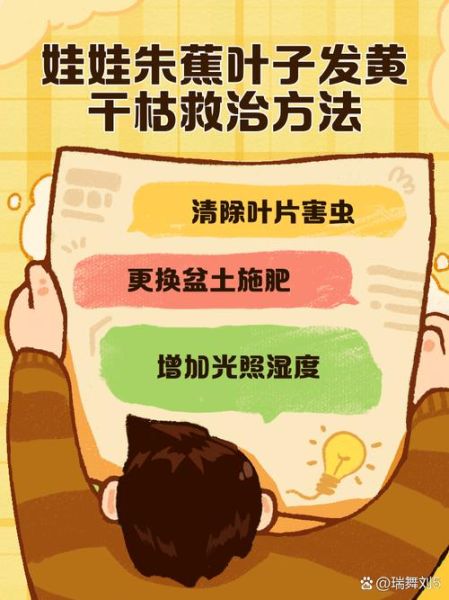 芭蕉叶怎么养_芭蕉叶发黄怎么办-第1张图片-山城妙识 芭蕉叶怎么养_芭蕉叶发黄怎么办-第1张图片-山城妙识