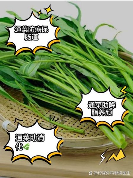 通菜有什么功效_通菜营养价值高吗-第3张图片-山城妙识 通菜有什么功效_通菜营养价值高吗-第3张图片-山城妙识