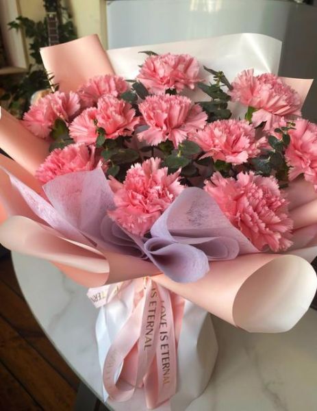 康乃馨图片唯美_如何拍出柔焦氛围感-第2张图片-山城妙识 康乃馨图片唯美_如何拍出柔焦氛围感-第2张图片-山城妙识