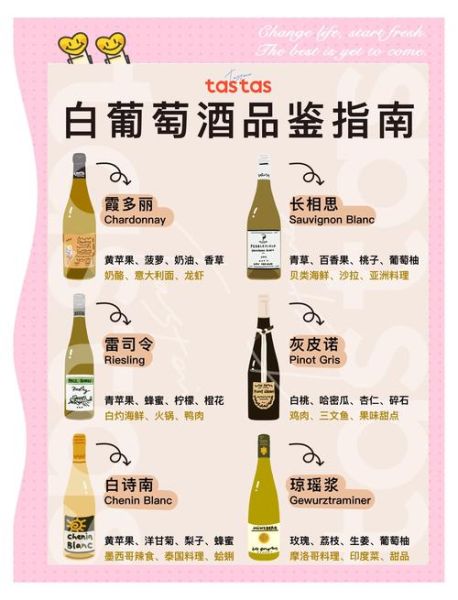 白葡萄酒的功效与作用_白葡萄酒的禁忌有哪些-第1张图片-山城妙识 白葡萄酒的功效与作用_白葡萄酒的禁忌有哪些-第1张图片-山城妙识