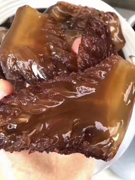 海蜇皮是什么东西_海蜇皮和蜇头区别-第2张图片-山城妙识 海蜇皮是什么东西_海蜇皮和蜇头区别-第2张图片-山城妙识