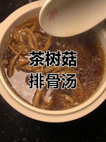 新鲜的茶树菇怎么做汤好喝_茶树菇汤的做法窍门-第2张图片-山城妙识 新鲜的茶树菇怎么做汤好喝_茶树菇汤的做法窍门-第2张图片-山城妙识