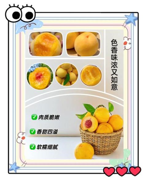 最好吃的黄桃品种排名_黄桃哪个品种最甜-第1张图片-山城妙识
