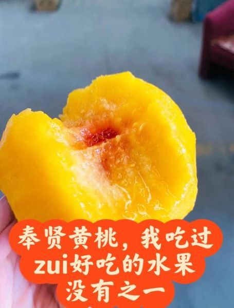 最好吃的黄桃品种排名_黄桃哪个品种最甜-第2张图片-山城妙识