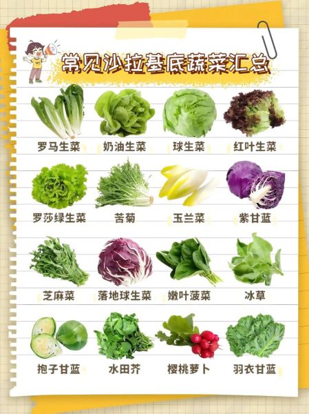 蔬菜色拉用什么蔬菜_蔬菜色拉常用蔬菜清单-第3张图片-山城妙识 蔬菜色拉用什么蔬菜_蔬菜色拉常用蔬菜清单-第3张图片-山城妙识