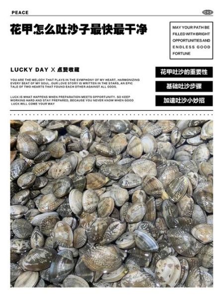 花甲吐沙要多久_花甲吐沙正确方法-第3张图片-山城妙识 花甲吐沙要多久_花甲吐沙正确方法-第3张图片-山城妙识